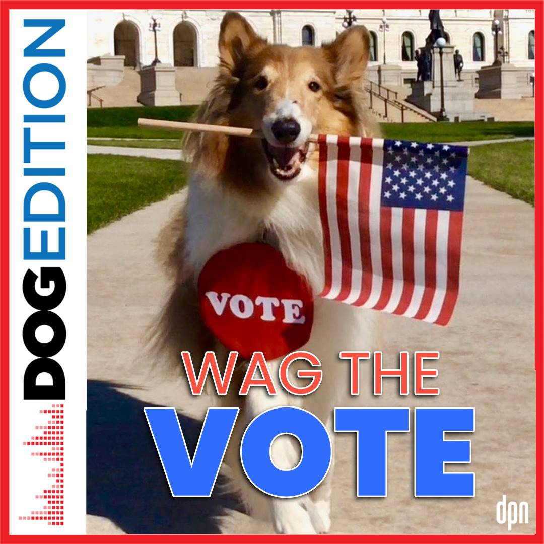 Wag The Vote - Dog Podcast Network